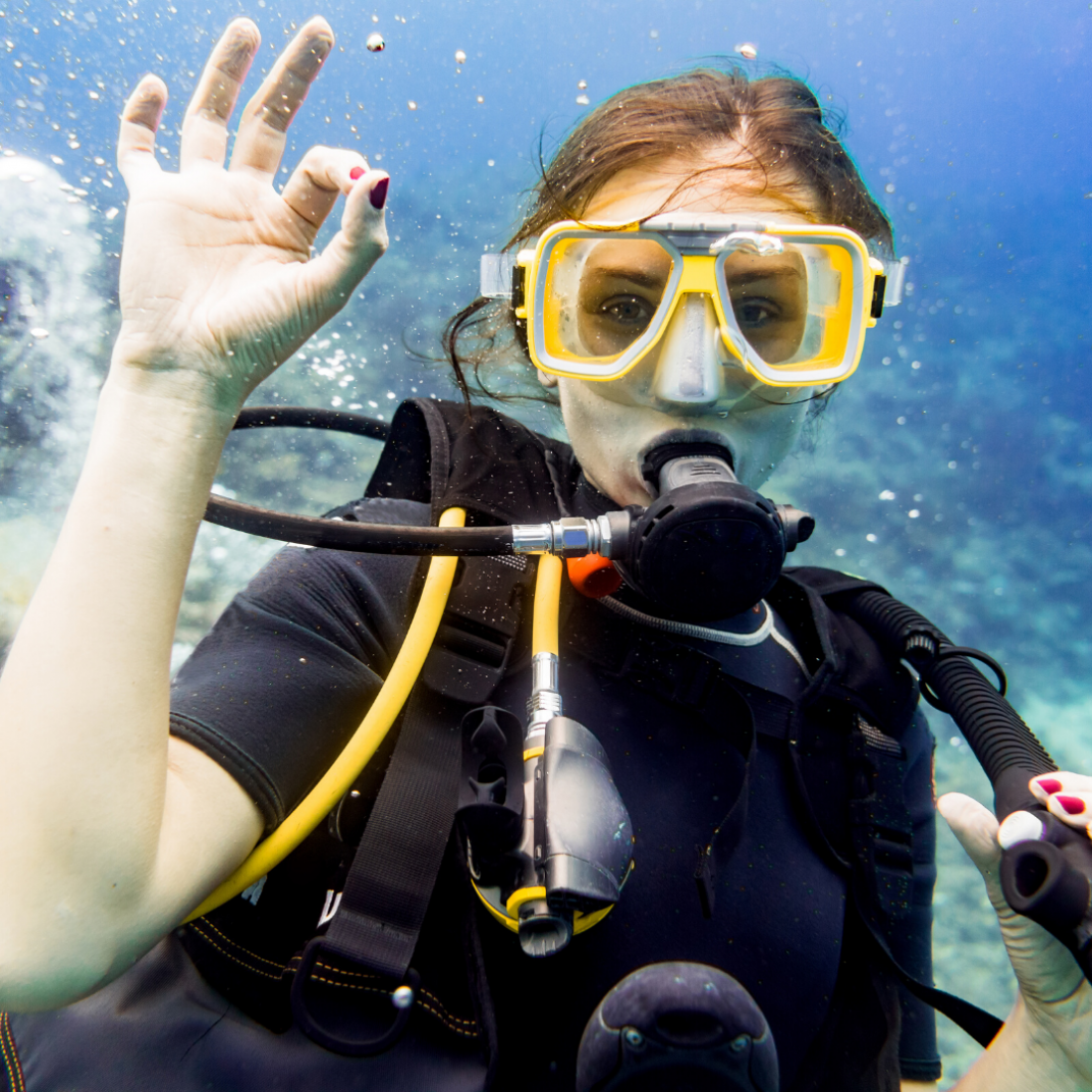 Conozca el mundo submarino de Ibiza con bautizo de buceo